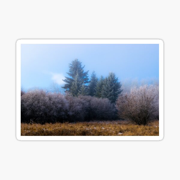"Winter fog" Sticker for Sale by CanadianWild418 | Redbubble