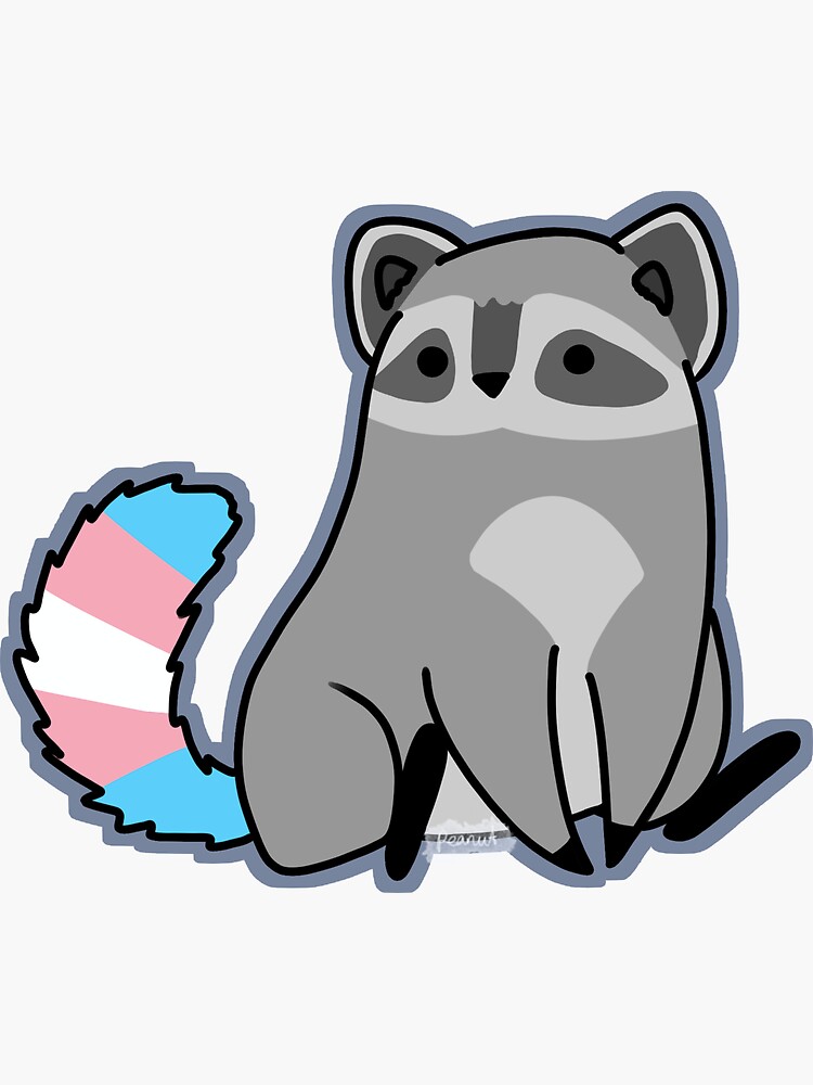 "Trans Pride Raccoon" Sticker by WateredxPeanuts | Redbubble