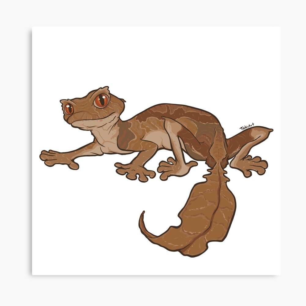 Prints Wood & Linocut Prints Art & Collectibles Leaf-tailed Gecko ...
