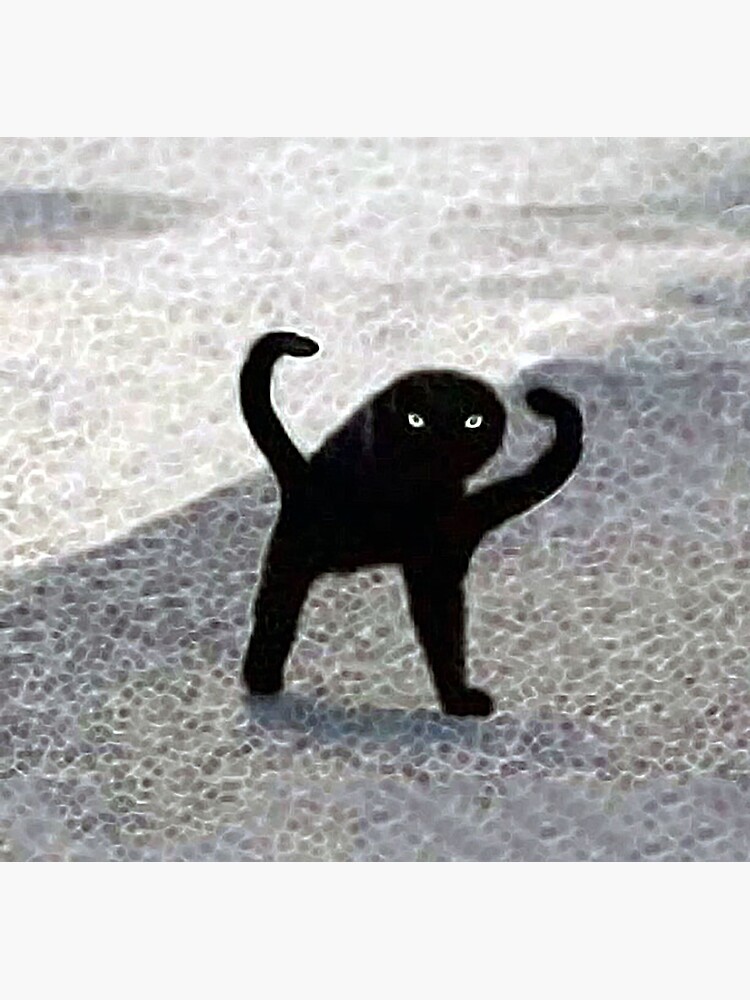 "Outraged black cat" Photographic Print for Sale by catmemesoncanva ...