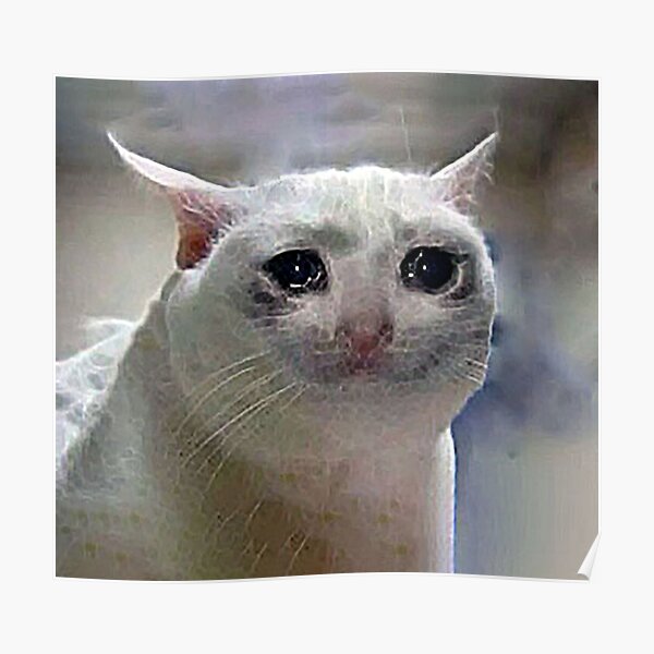 "Sad white cat" Poster for Sale by catmemesoncanva | Redbubble