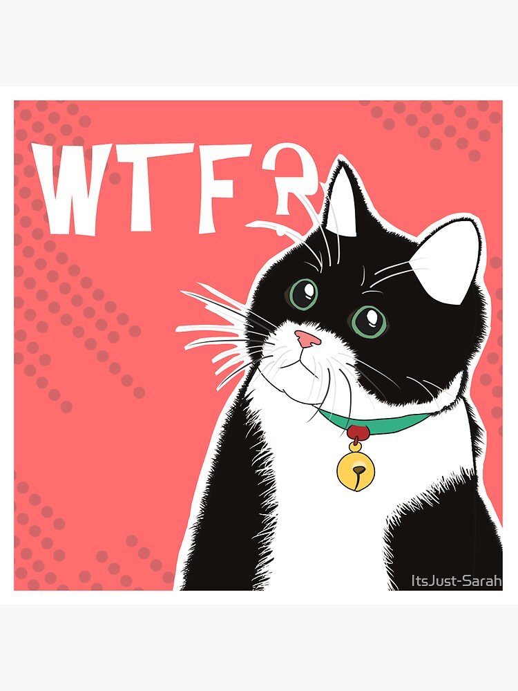 "WTF CAT" Sticker for Sale by ItsJust-Sarah | Redbubble
