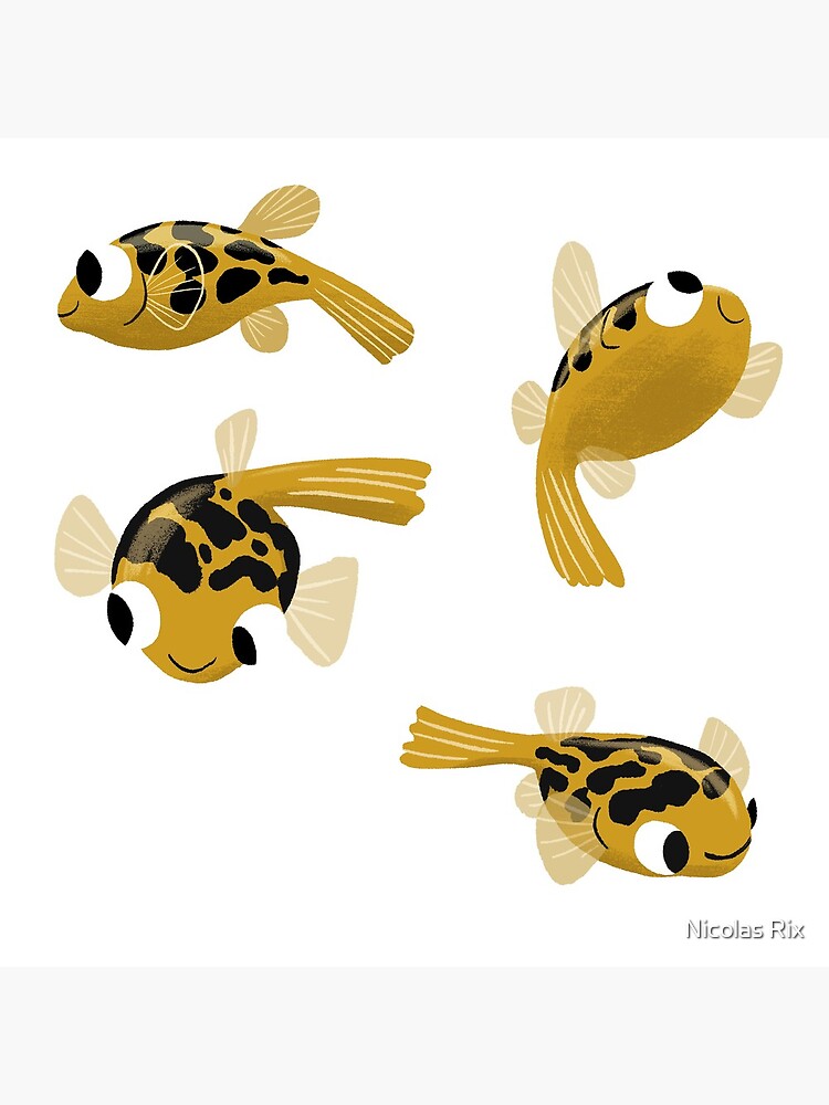 "Pea Puffer Fish Group" Poster by nicolasrix1 | Redbubble