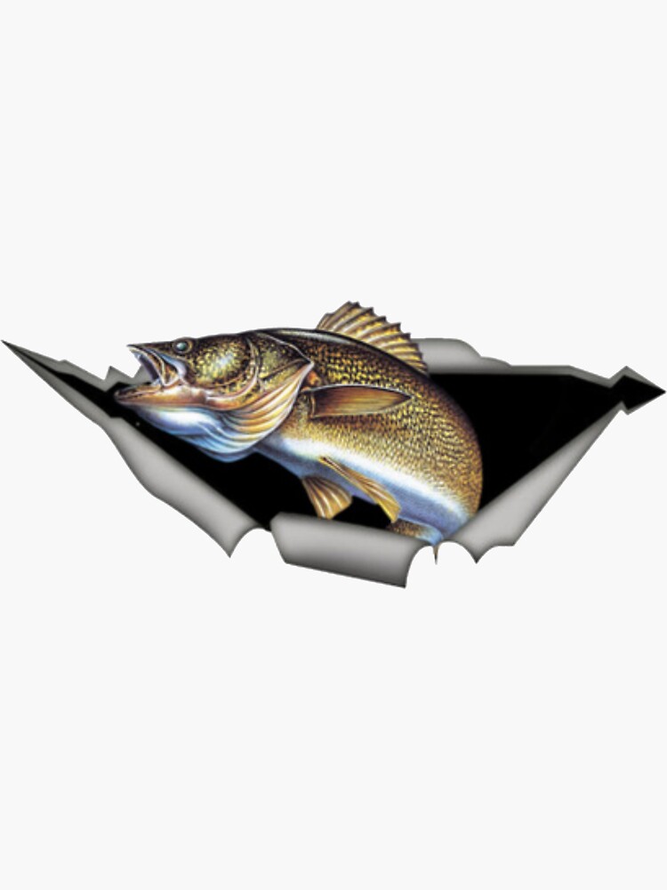 "Walleye Decal" Sticker for Sale by saadboukideur | Redbubble
