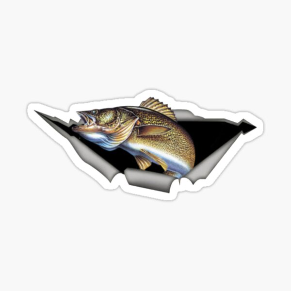 "Walleye Decal" Sticker for Sale by saadboukideur | Redbubble