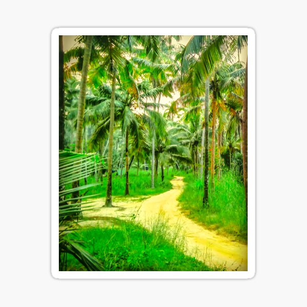 "Village road of kerala " Sticker by Anvinpeeter | Redbubble