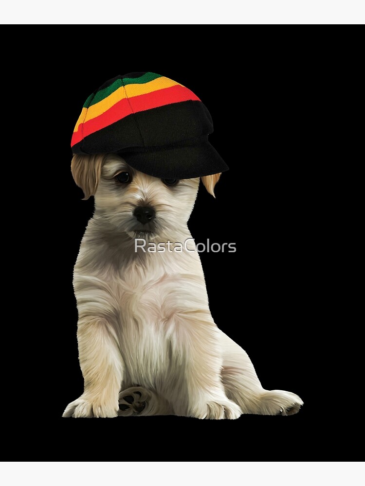 "Rasta Puppy Cute Puppy with Rasta Hat " Poster by RastaColors | Redbubble