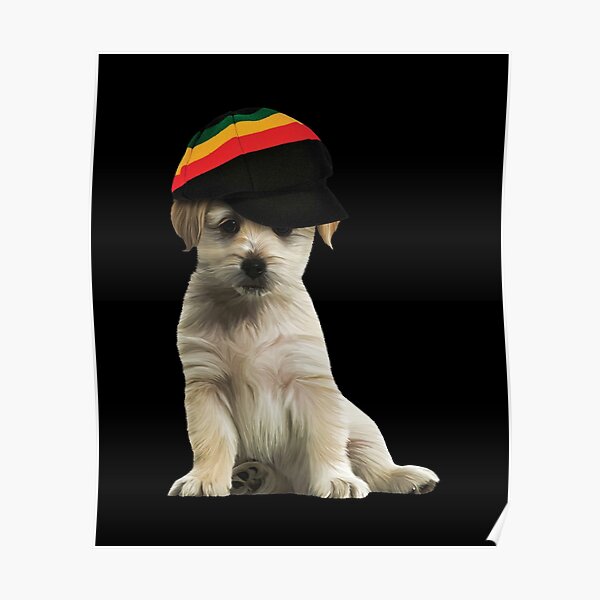 "Rasta Puppy Cute Puppy with Rasta Hat " Poster by RastaColors | Redbubble