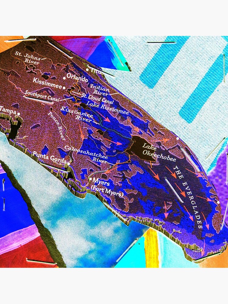 "Florida Staple Collage" Poster by Everettkohinke | Redbubble