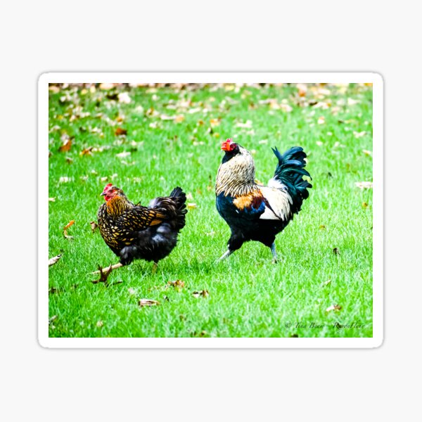 RayonFleur Shop | Redbubble