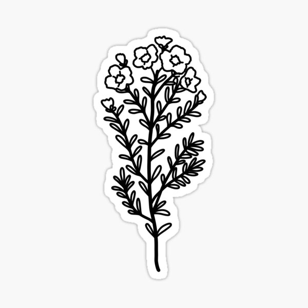"flower drawing" Sticker for Sale by meridythswalker | Redbubble