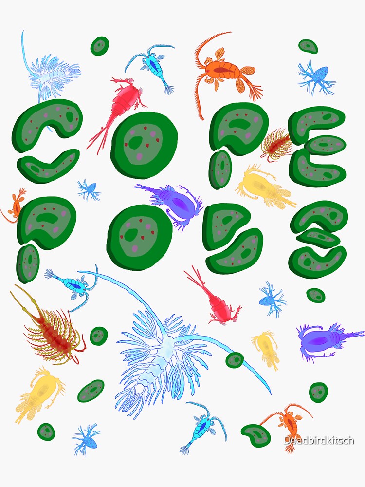 "Copepod Party" Sticker by Deadbirdkitsch | Redbubble