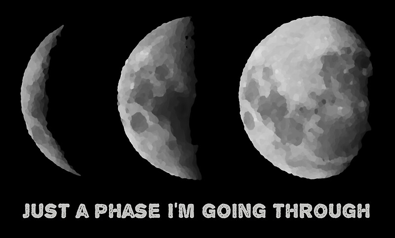 "Monochrome Moon phase space humour" by LynHebb | Redbubble