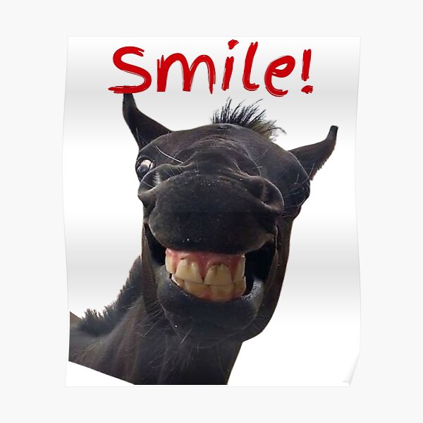 Hee Haw Donkey Posters | Redbubble