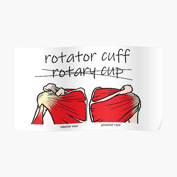 "Rotator Cuff NOT Rotary Cup" Poster by milesromney | Redbubble