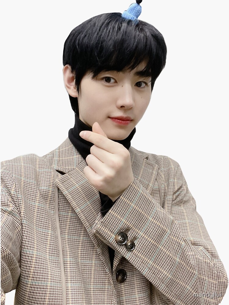 "Sunghoon Selca with Mini Hat" Sticker for Sale by mandyllui | Redbubble