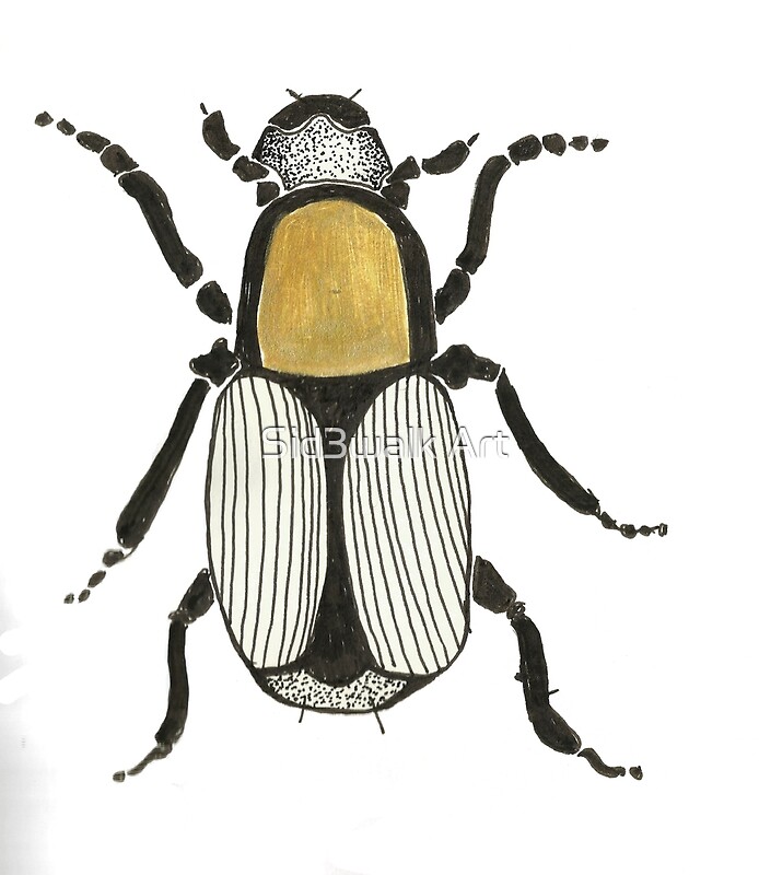 "Cool Cute Bug Insect Drawing" by Sid3walk Art | Redbubble