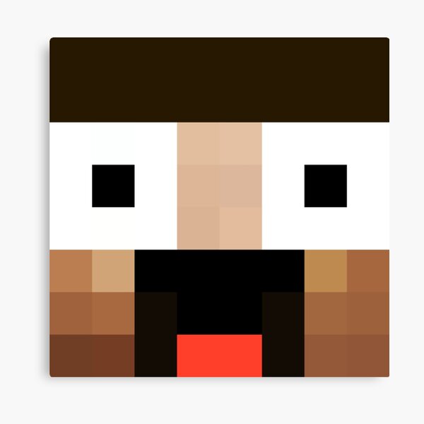 Minecraft Canvas Prints | Redbubble