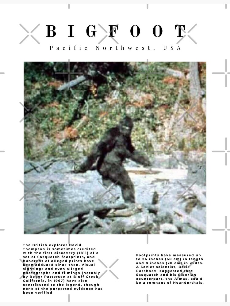 "Minimalist Cryptids: Bigfoot" Poster for Sale by CoraBee | Redbubble