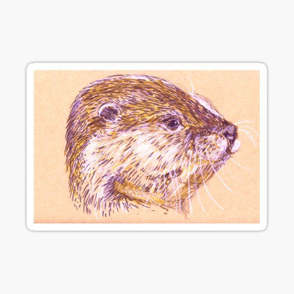 "North American River Otter — Lontra canadensis" Sticker by Sheila ...
