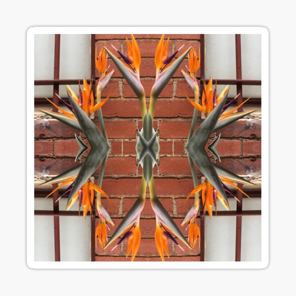 "Streetwise Strelitzias of Criterion Street, nipaluna" Sticker for Sale ...