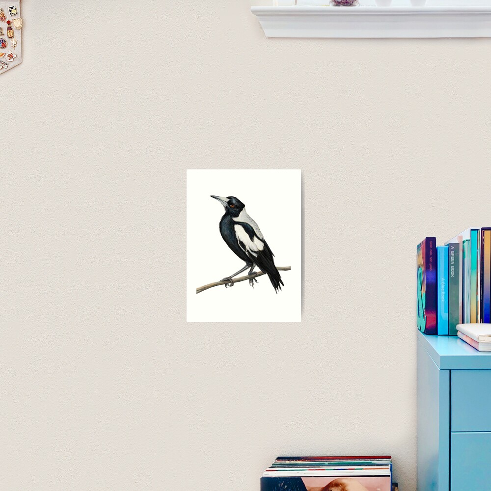 "The Australian Magpie, Collingwood's iconic bird - drawing " Art Print ...