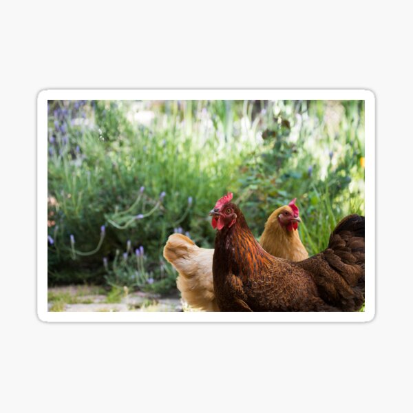 "Ode to Lello-eee" Sticker for Sale by brittanyapp | Redbubble