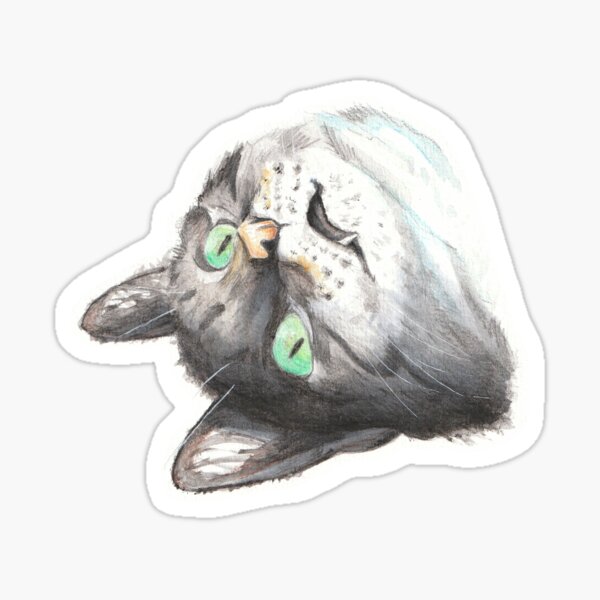 "Wonder" Sticker by pluckydoggo | Redbubble