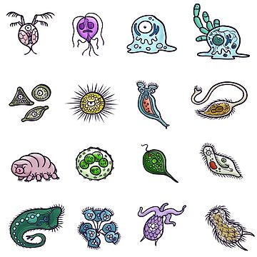 "Microbe Sticker Sheet" Sticker for Sale by Halakahiki | Redbubble