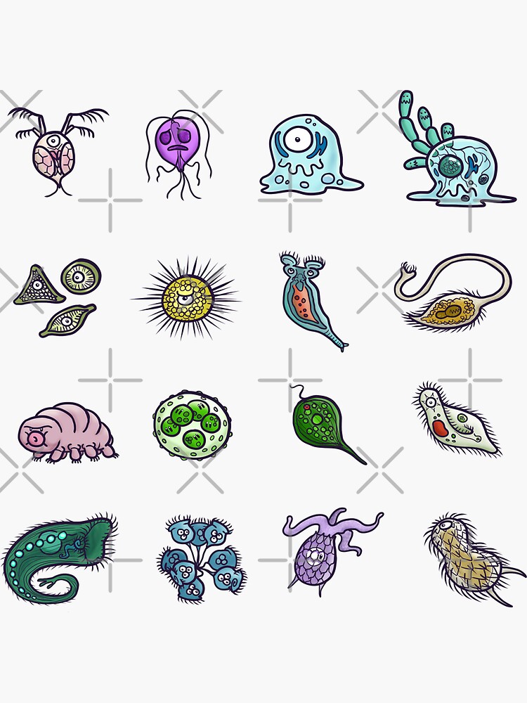"Microbe Sticker Sheet" Sticker for Sale by Halakahiki | Redbubble