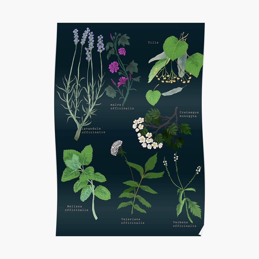 Maria Comi's Instagram, Twitter & Facebook on IDCrawl