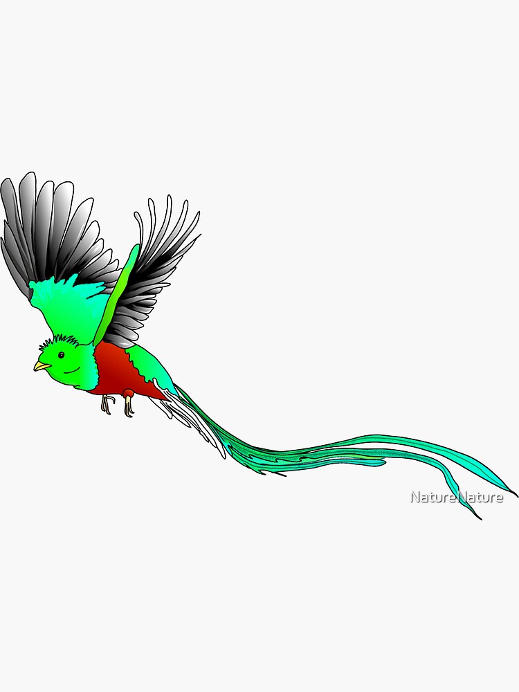 "Sacred bird quetzal" Sticker by NatureNature | Redbubble