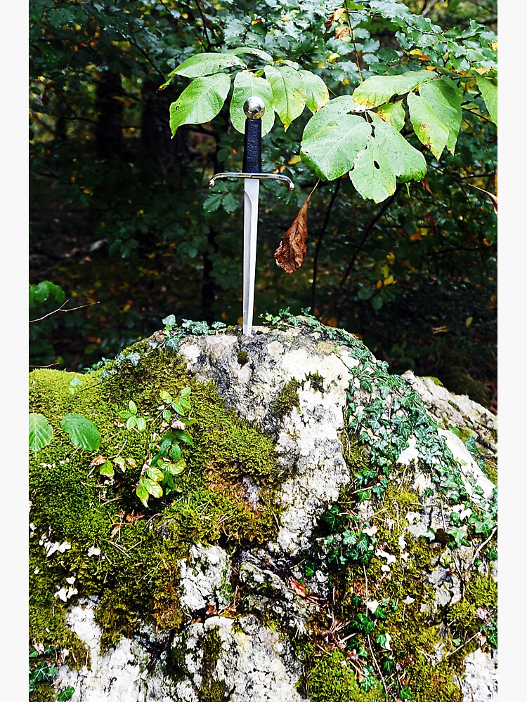 "Excalibur" Sticker by Denis Charmot | Redbubble