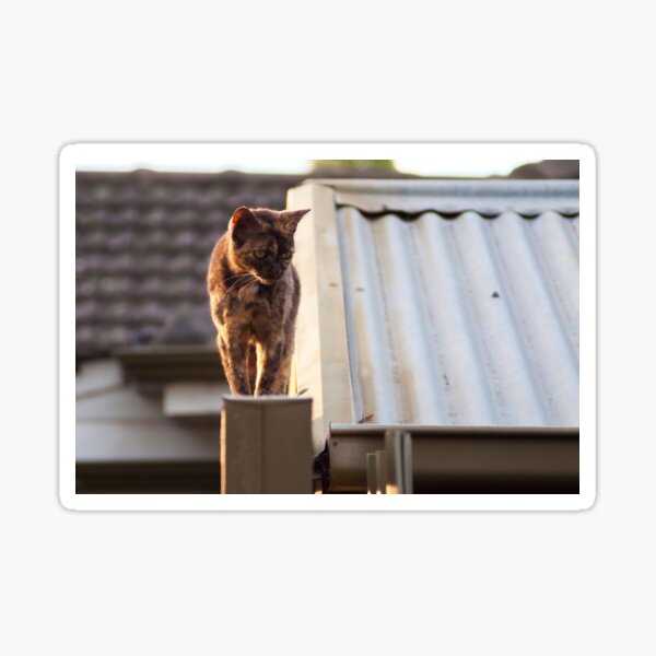 "Returning Home" Sticker for Sale by TweeLoot | Redbubble