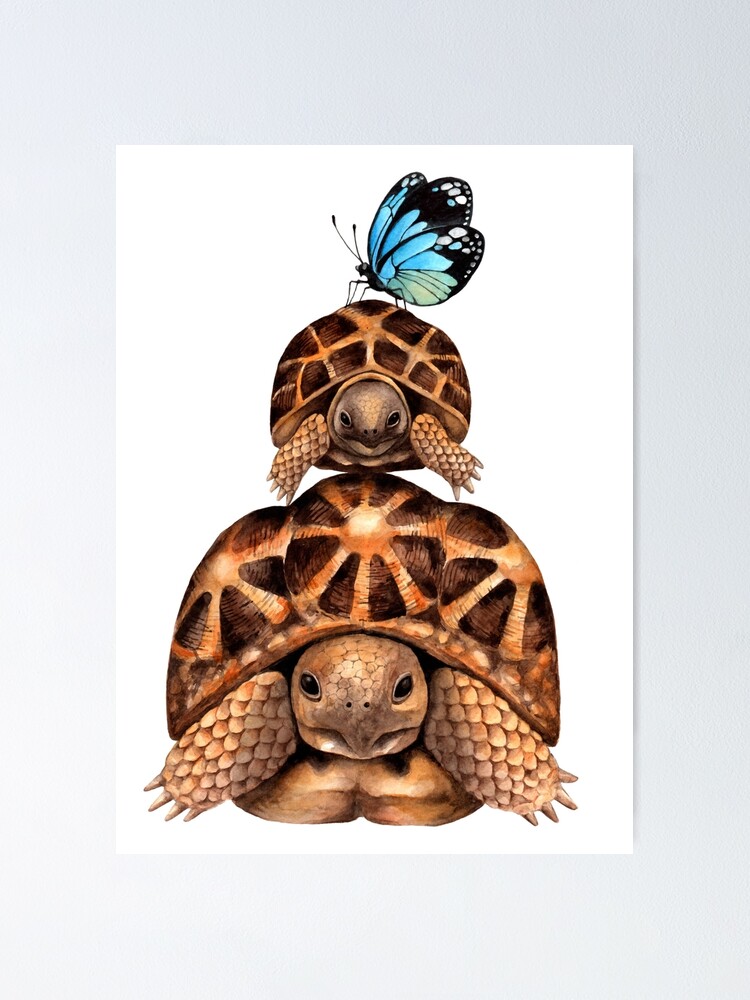 "Tortoise and butterfly " Poster by ArtfantasyLab | Redbubble