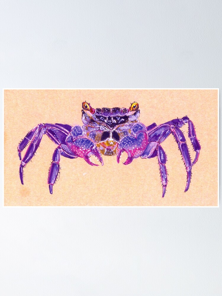 "Vampire Crab — Geosesarma dennerle" Poster for Sale by Sheila-Singhal ...