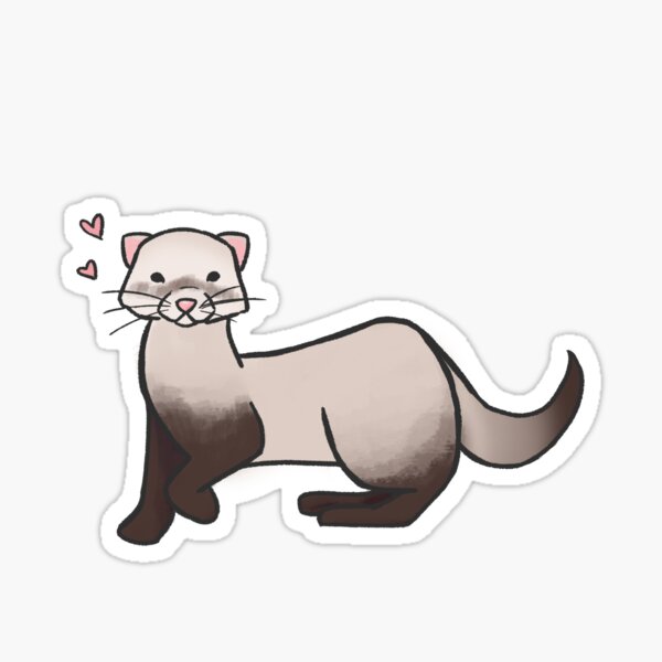 "Cute Ferret" Sticker by RacheDoodles | Redbubble