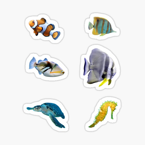 "Ocean Tropical Sea Fish" Sticker by Scubaloppy | Redbubble