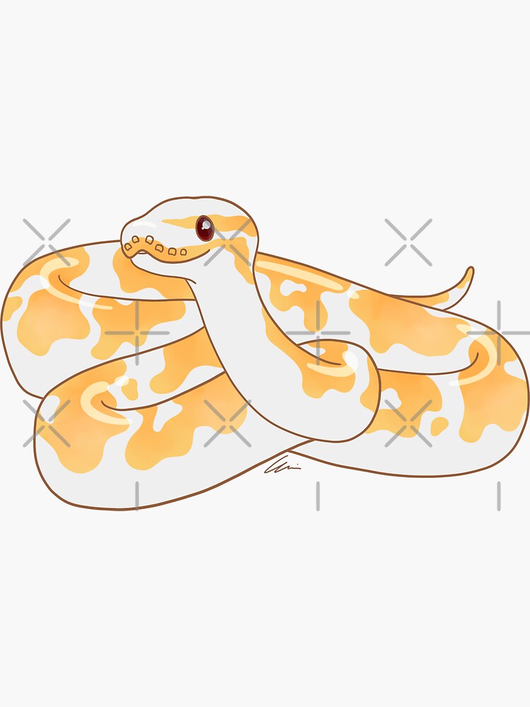 "Albino ball python illustration II" Sticker for Sale by anacecilia ...