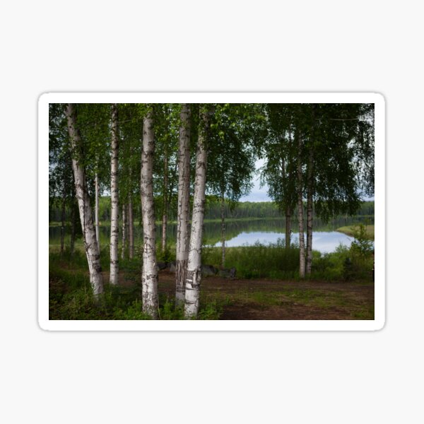 "Sylvan Hideaway" Sticker by mcvette | Redbubble