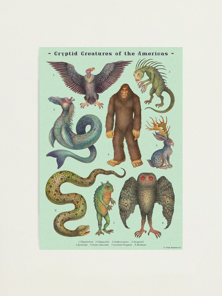 "Cryptids of the Americas, Cryptozoology species" Photographic Print ...