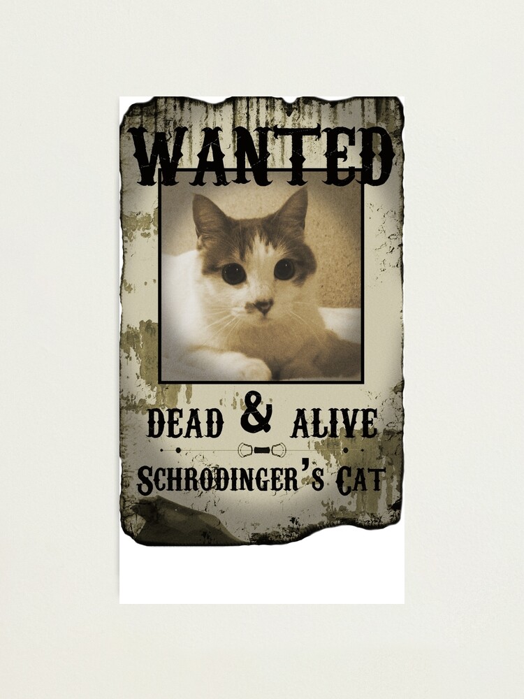 "Schrodinger's Cat Wanted Poster" Photographic Print for Sale by ...