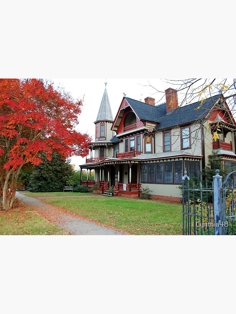 "Lowenstein-Henkel House" Poster by Cynthia48 | Redbubble