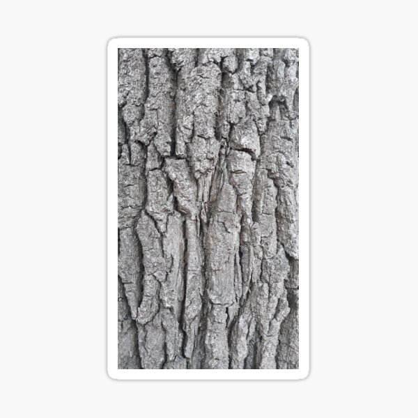 "tree, bark, nature, beauty, structure," Sticker for Sale by ...