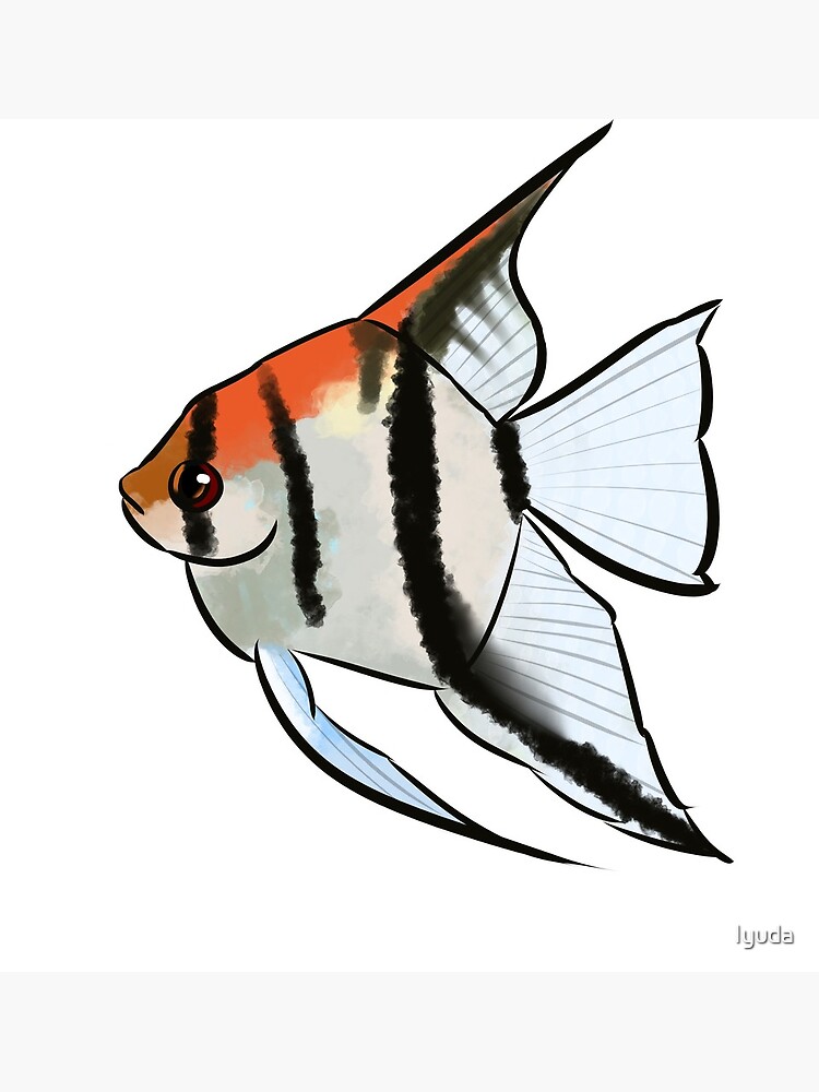 "Red Back Amapa Angel Fish " Greeting Card for Sale by Iyuda | Redbubble
