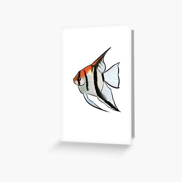 "Red Back Amapa Angel Fish " Greeting Card for Sale by Iyuda | Redbubble