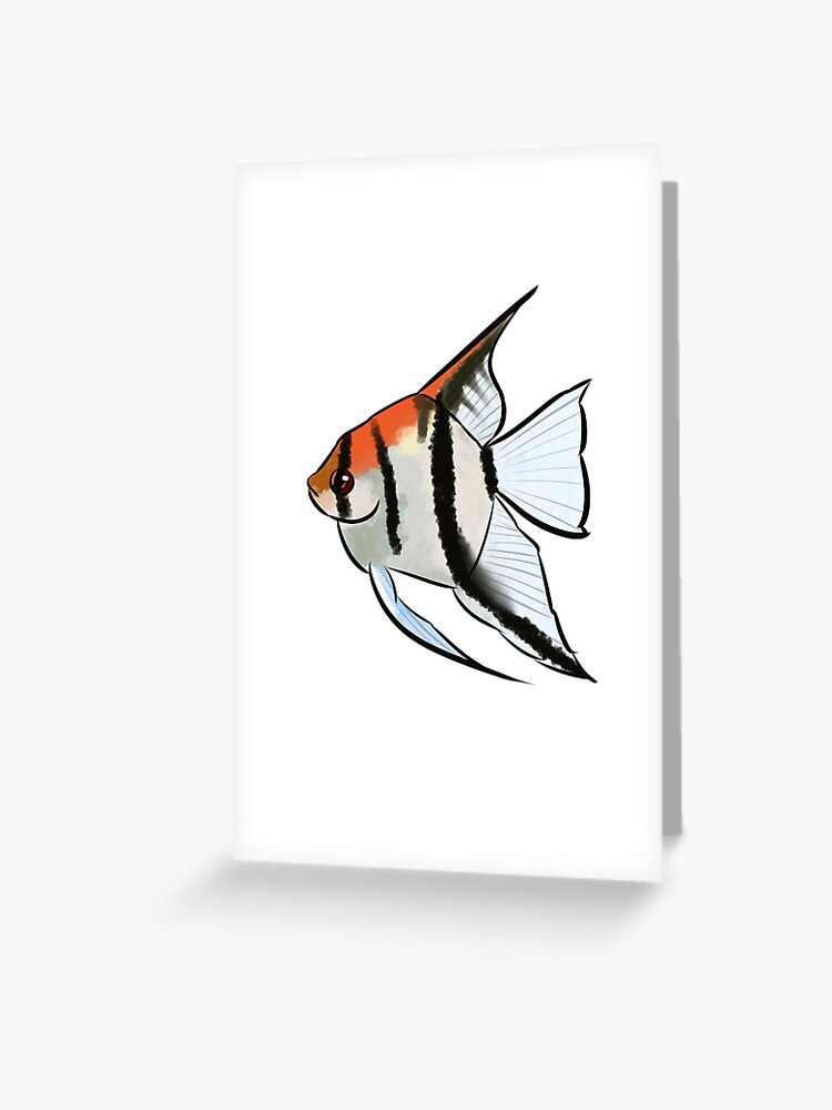 "Red Back Amapa Angel Fish " Greeting Card for Sale by Iyuda | Redbubble