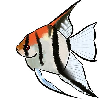 "Red Back Amapa Angel Fish " Greeting Card for Sale by Iyuda | Redbubble