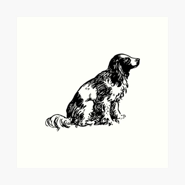 Sprocker Spaniel Art Prints | Redbubble