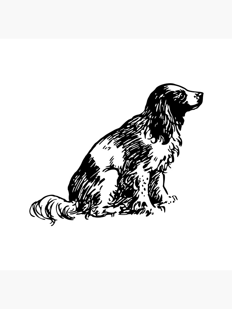 "Sprocker Spaniel" Sticker by rajnagar1107 | Redbubble